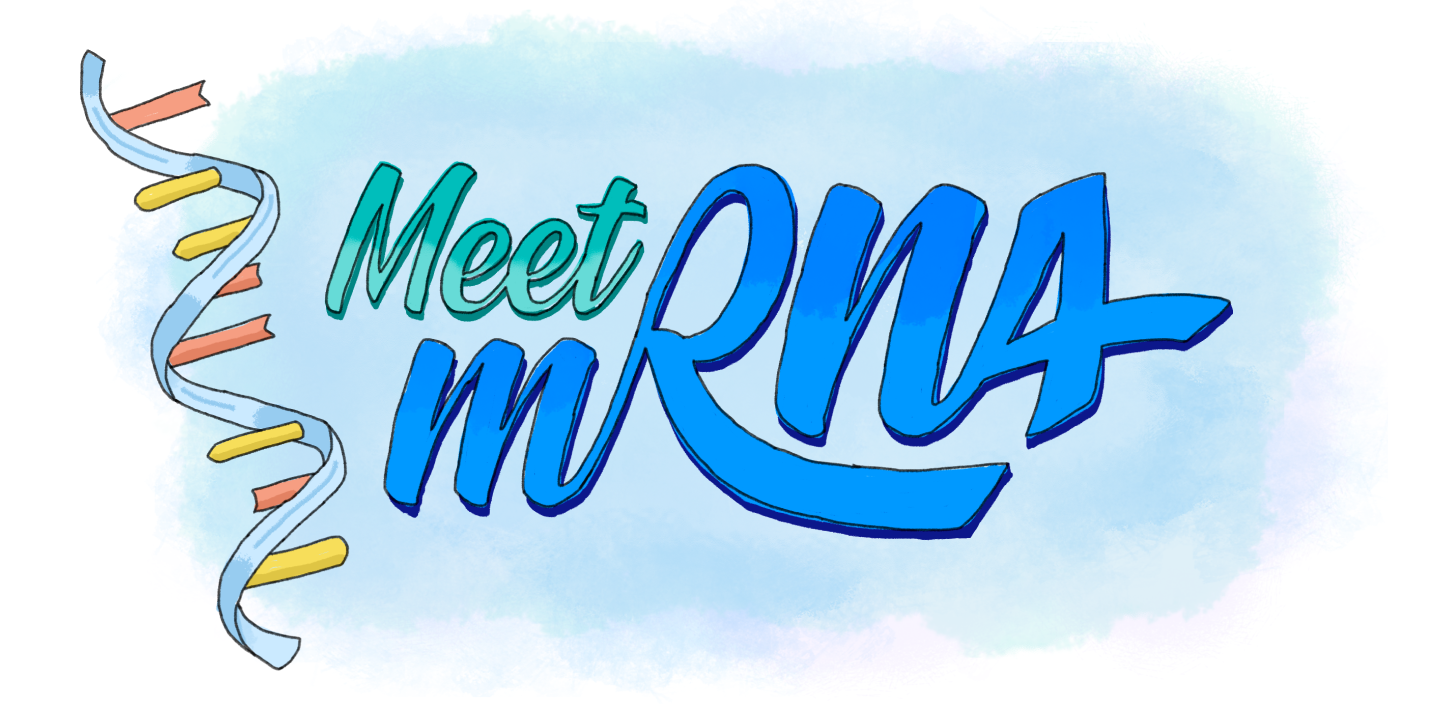 How This Once Little-Known Molecule Is Disrupting Medicine - mRNA Part ...